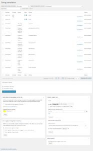 String Translation by WPML Plugin – Explore