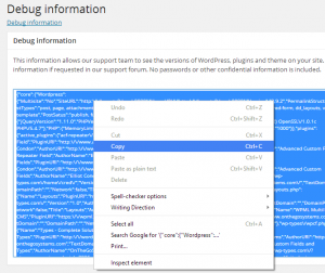 How to provide debug information for faster support - WPML
